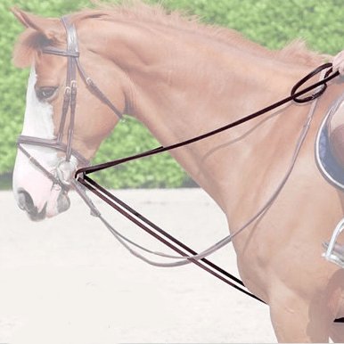 Slit Draw Rein – Horse Pride