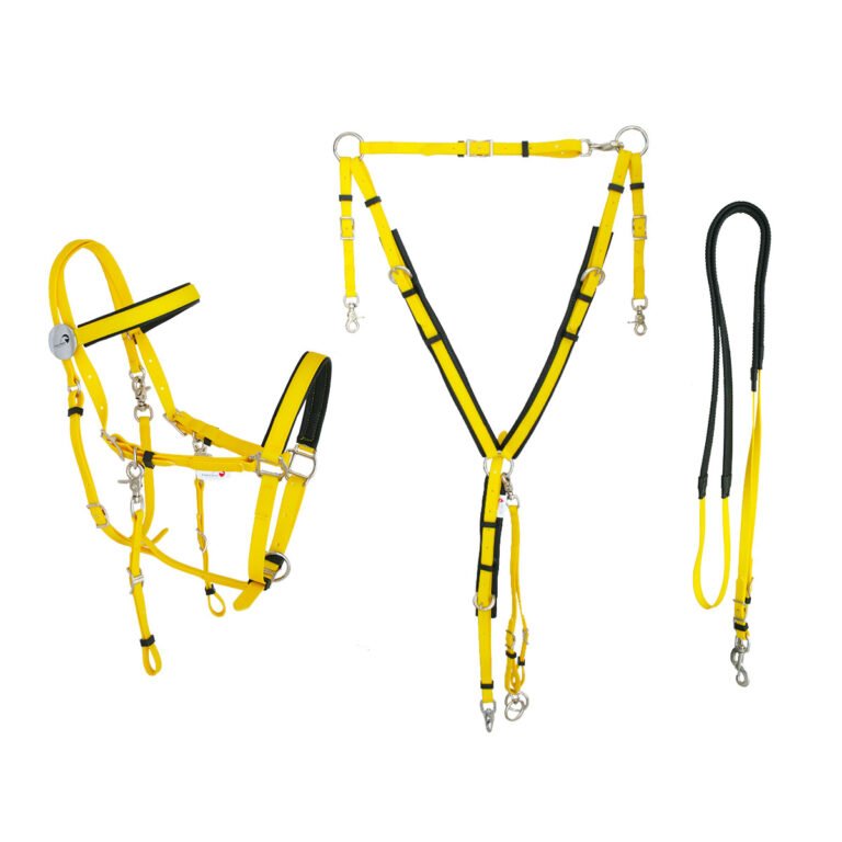 Endurance Bridle Full Set – Horse Pride